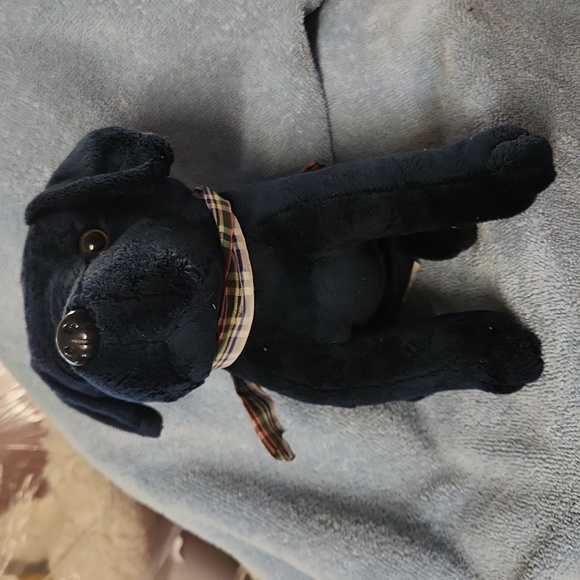 dandee | Toys | Dan Dee Collectors Choice Plush Dog Stuffed Animal Navy ...